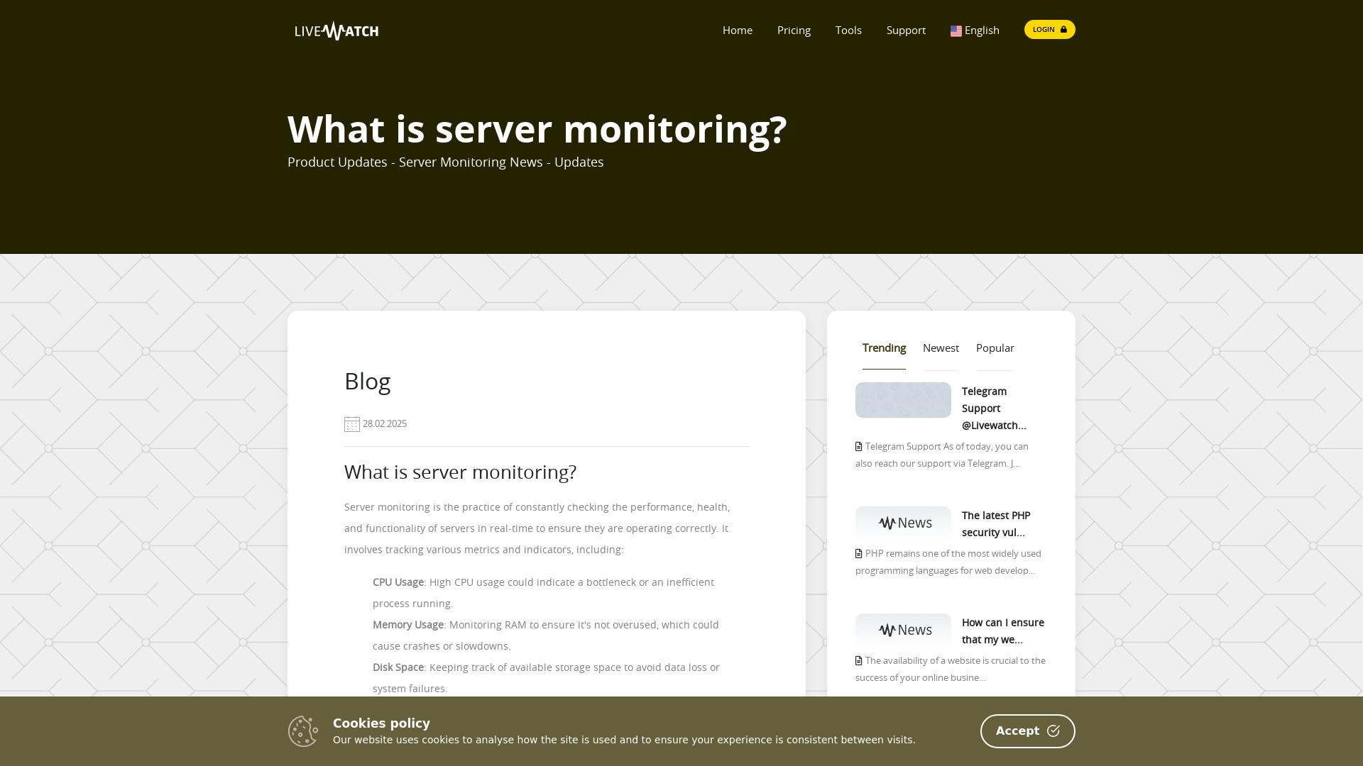 News - What is server monitoring?