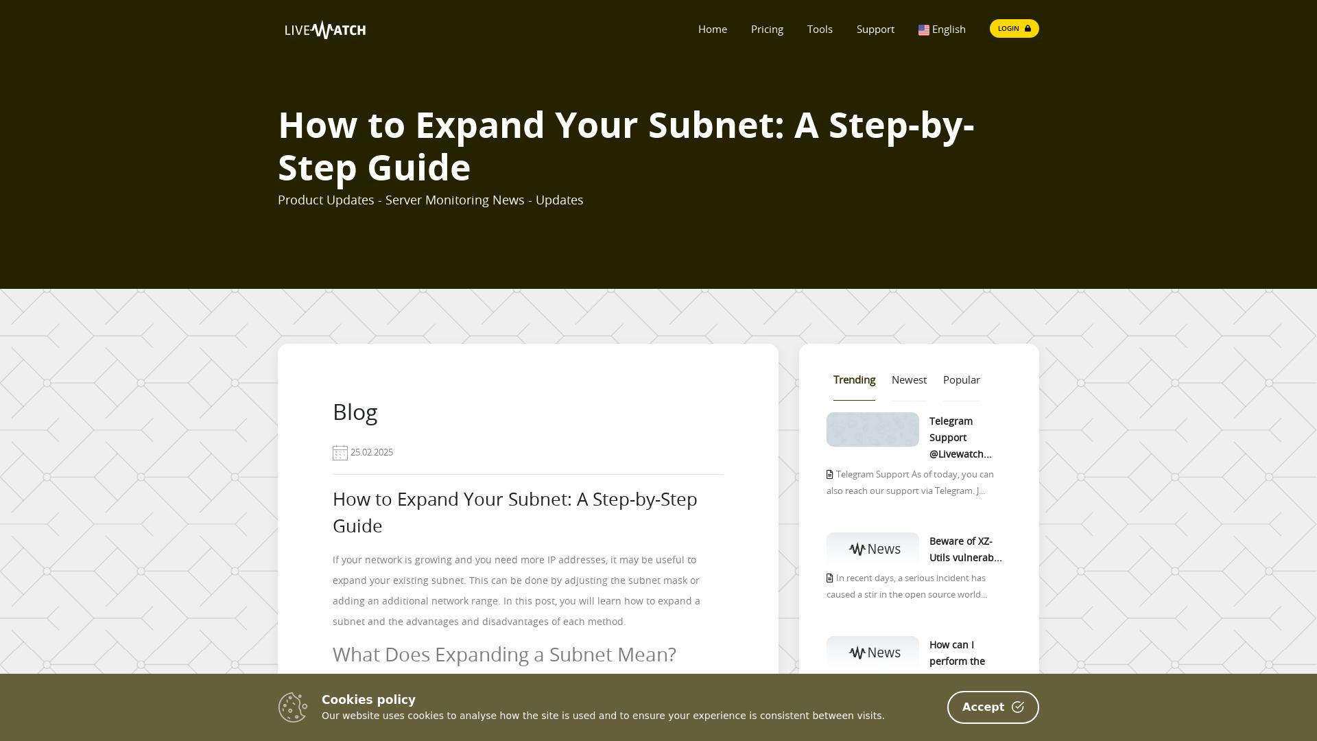 News - How to Expand Your Subnet: A Step-by-Step Guide