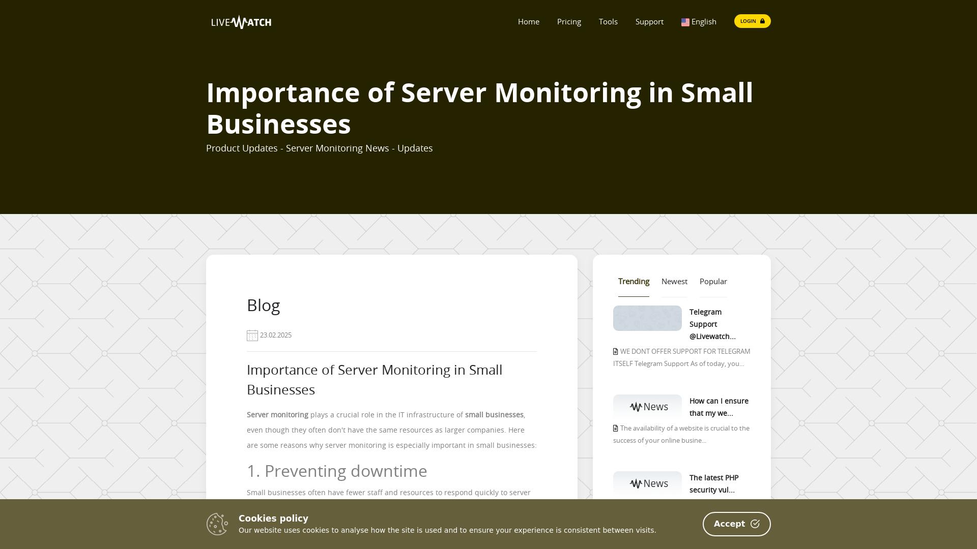News - Importance of Server Monitoring in Small Businesses